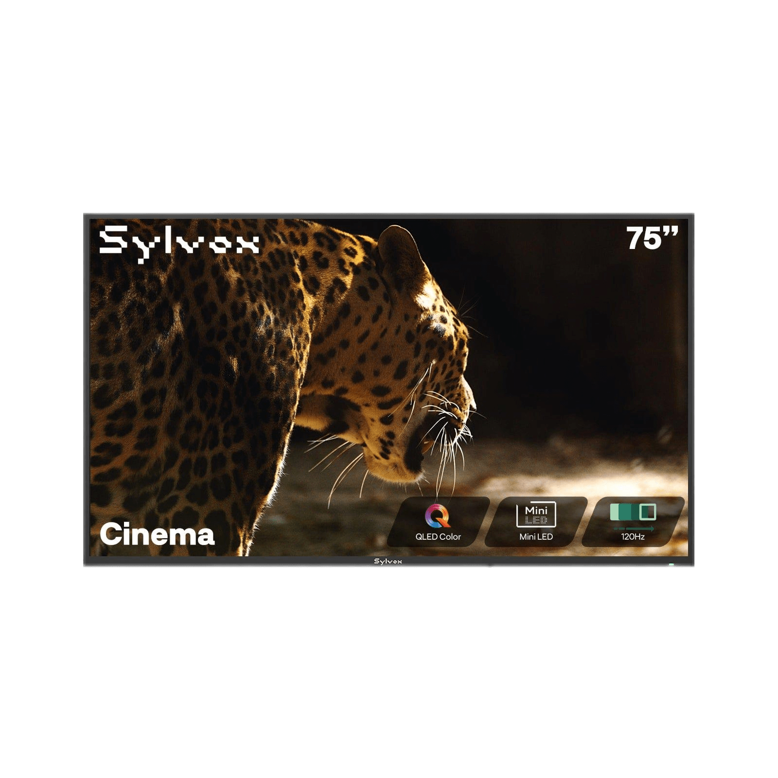 75" 4K Outdoor Google TV - 2000 Nits Helio QLED - 120Hz Anti-Reflectiv ...